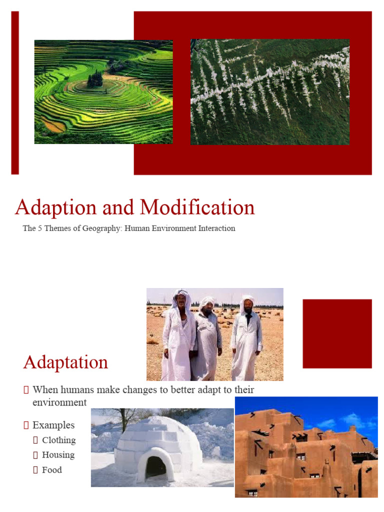 Adaptation and Modification | PDF