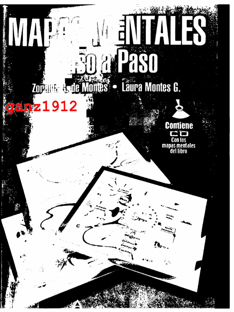 De Montes, Z. G. & Montes G., L. - Mapas Mentales Paso A Paso (Ocr ...