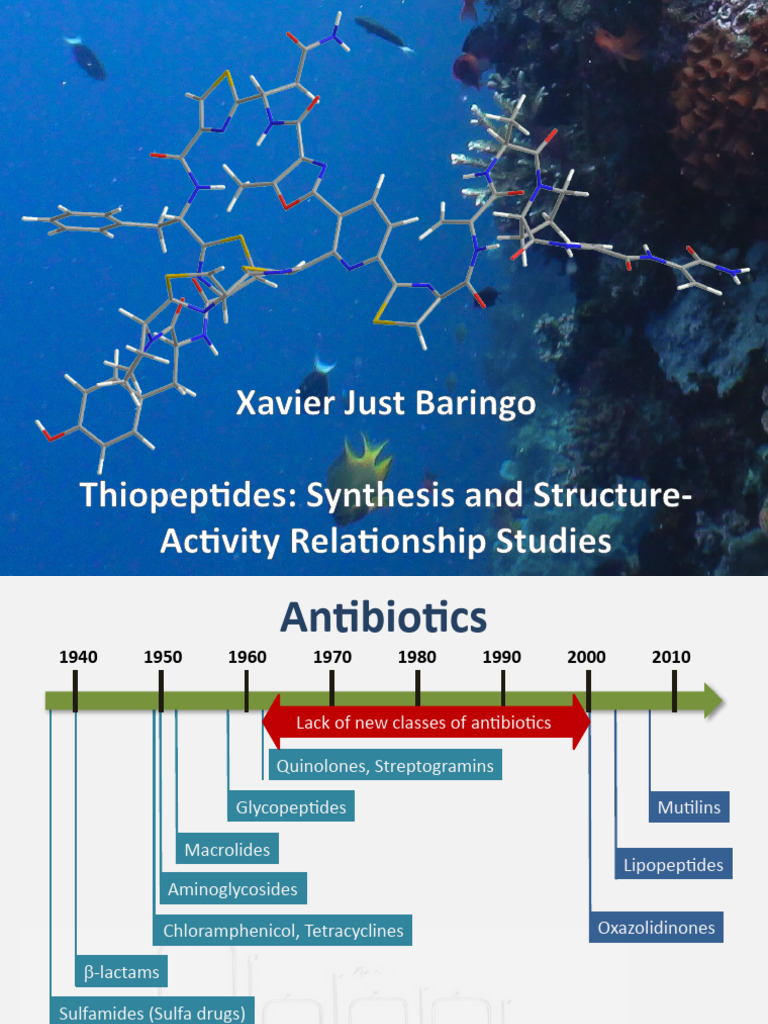Thiopeptide Antibiotics Study | PDF | Ribosome | Gene Expression