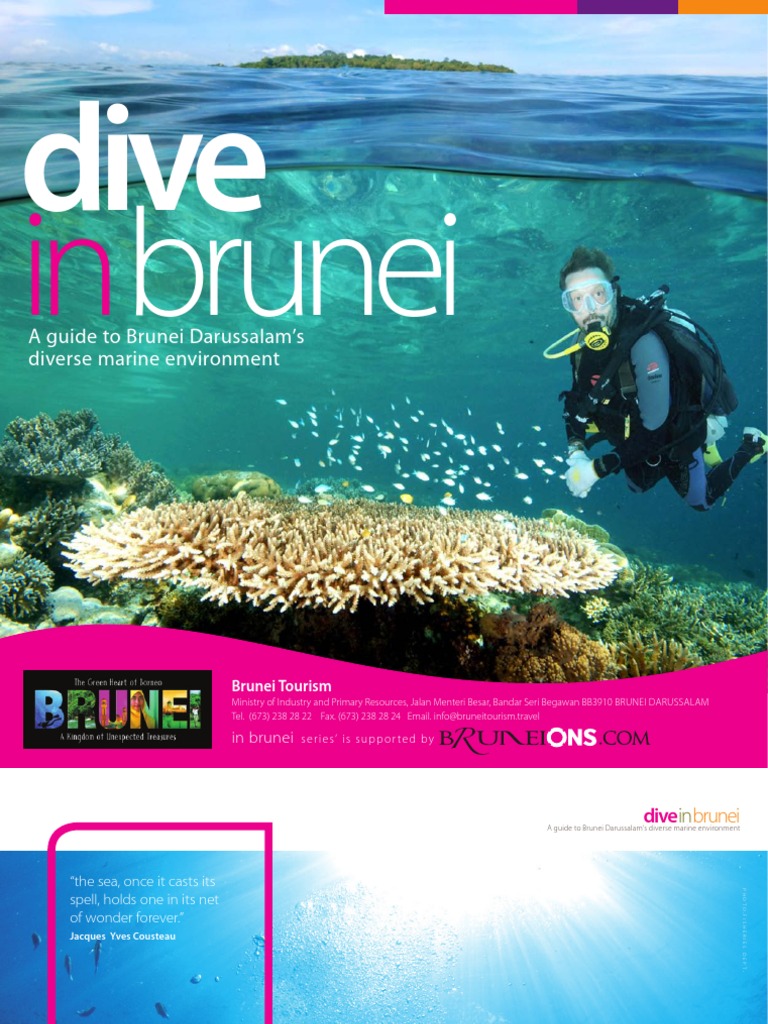 Dive in Brunei | Coral Reef | Underwater Diving