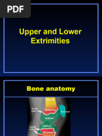 AO OTA Fracture and Dislocation Classification Leaflet | PDF | Injury ...