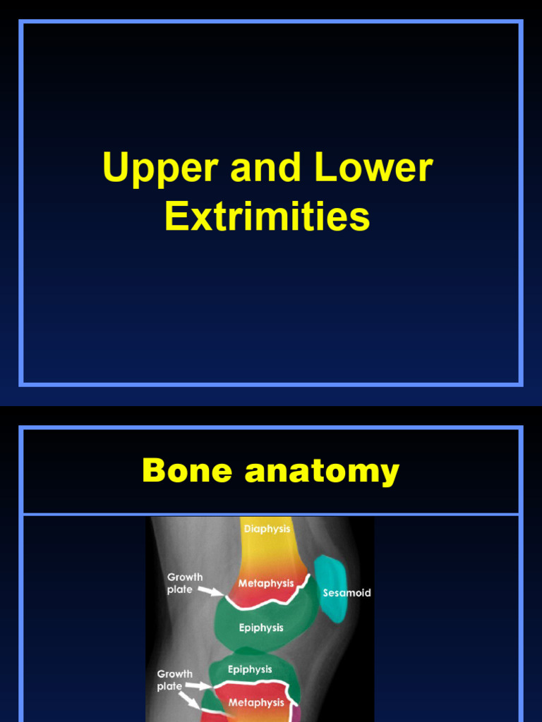 Upper - Lower Extremity Imaging | PDF | Anatomical Terms Of Location | Bone