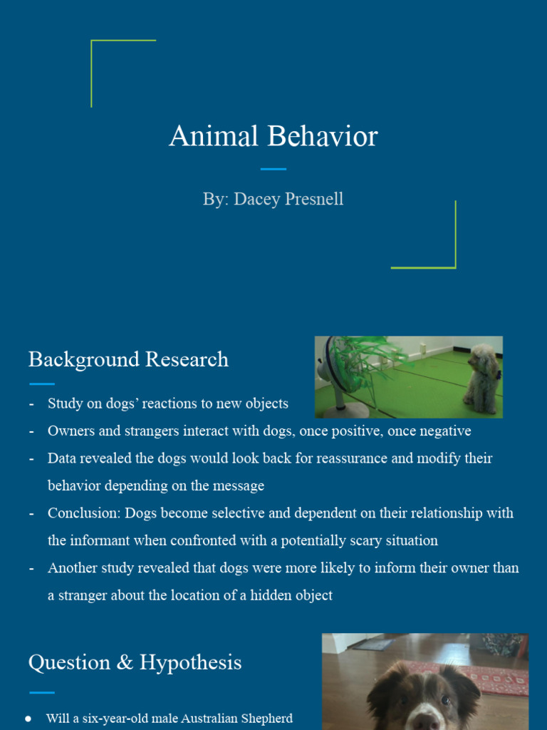 Animal Behavior Project 1 | PDF | Dogs | Experiment