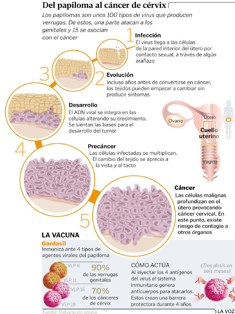 VPH | PDF