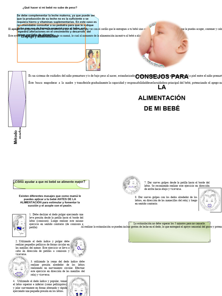 Diptico Neo Final | PDF | Pecho | La leche materna