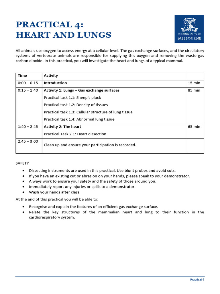 Practical 4 student worksheet | PDF | Heart Valve | Ventricle (Heart)
