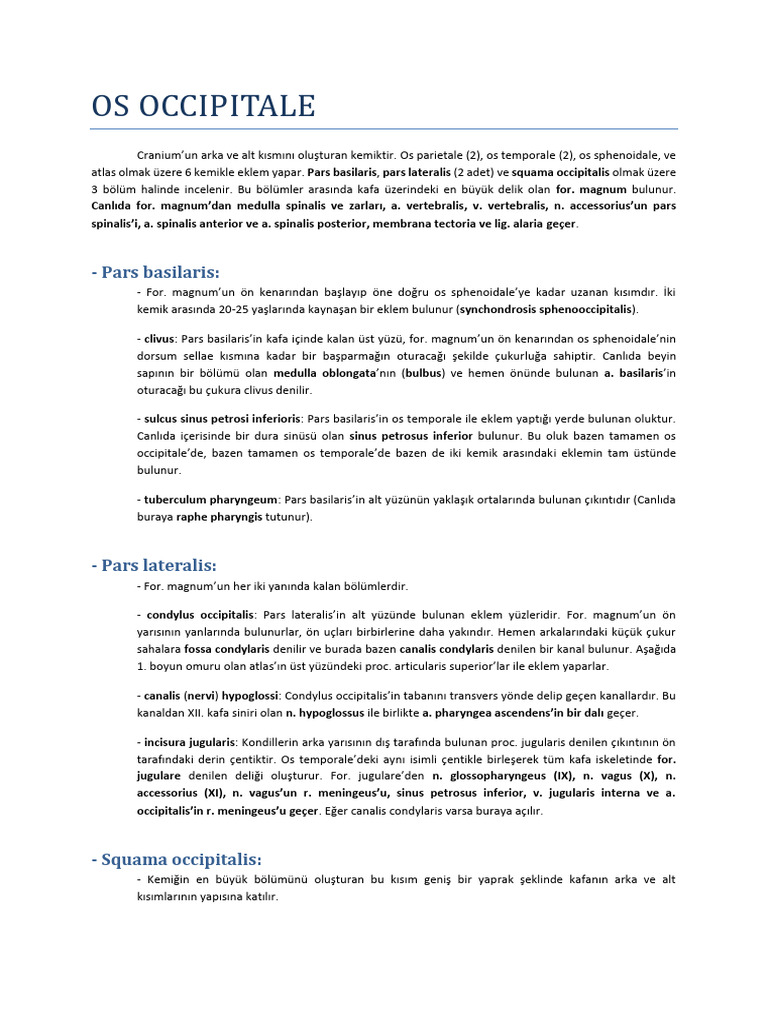 Ossa Cranii - 4 | PDF