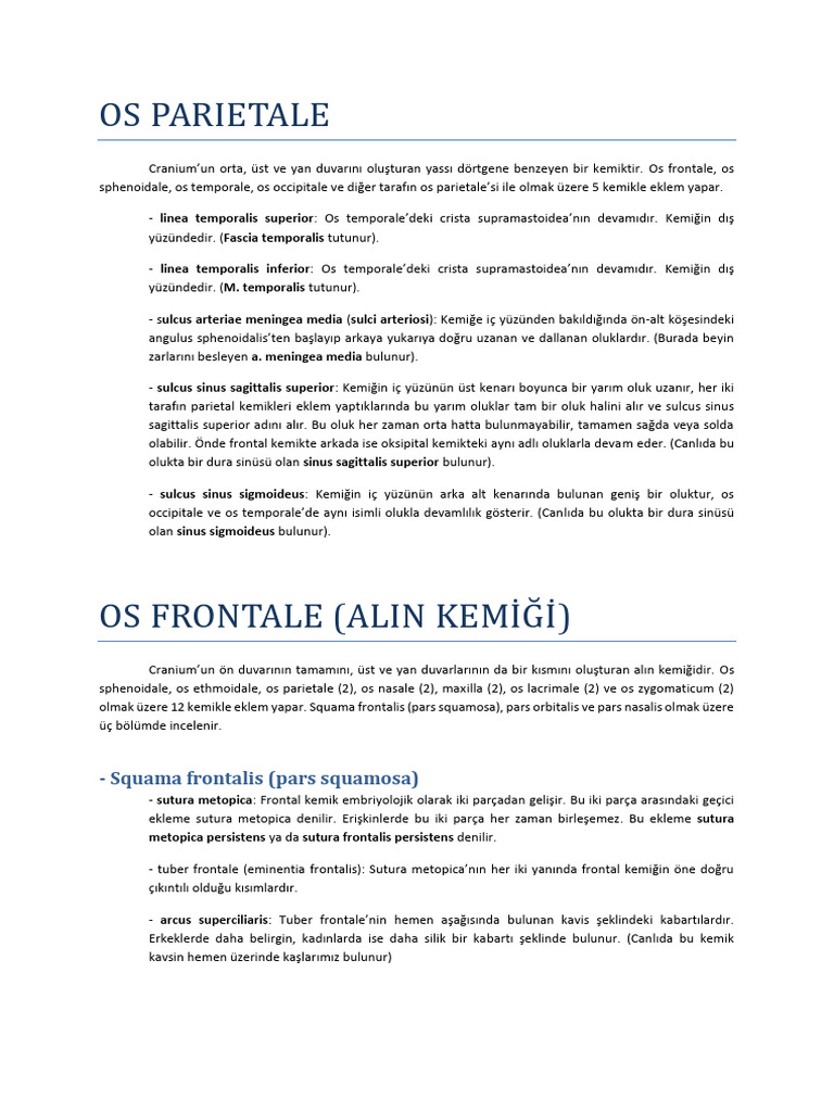 Ossa Cranii - 2 | PDF