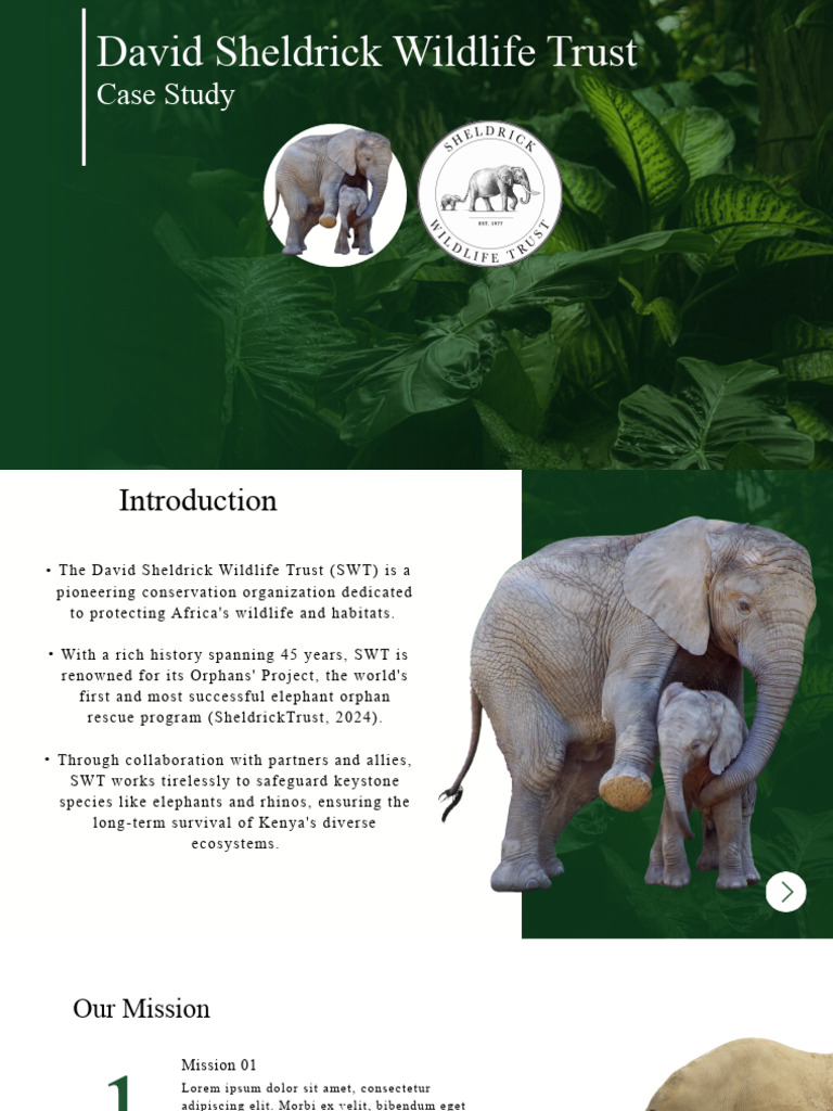 IMC Case Study Presentation | PDF