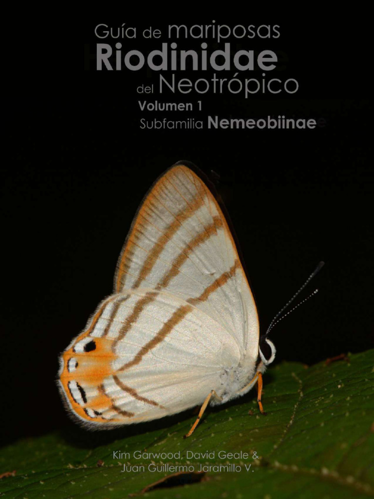 Guia Riodinidae Vol1 Nemeobiinae Neotropico PDF | PDF