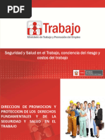 Funciones del CSST y SSST en Perú | PDF