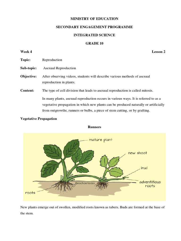 Grade 10 Integrated Science Week 4 Lesson 2 | PDF
