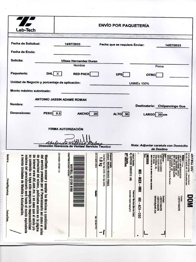 Guia DHL 533130 8150 | PDF