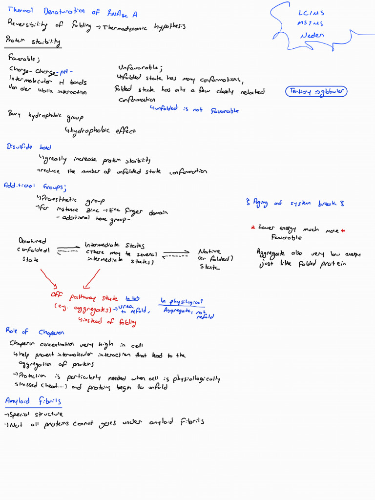 Chapter 4.2 (Thermal Denaturation of RNase) | PDF