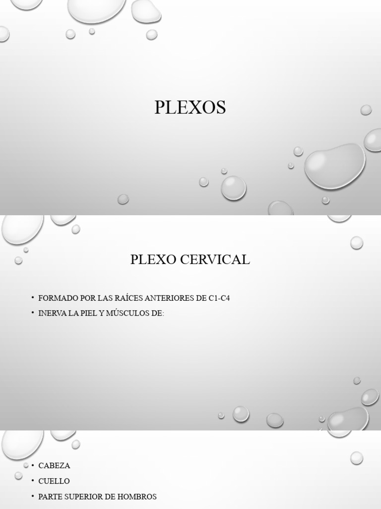 Plexos | PDF
