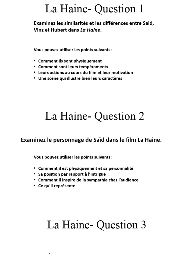 Essay Questions-La Haine | PDF