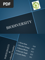 Alpine Biome Food Web | PDF