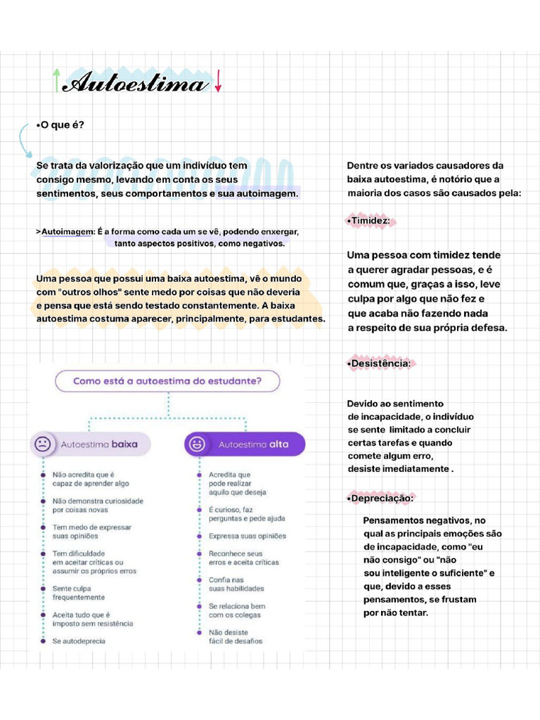 Autoestima Projeto De Vida Pdf
