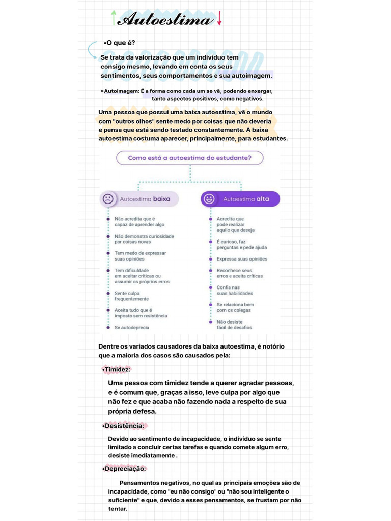 Autoestima Projeto De Vida Pdf