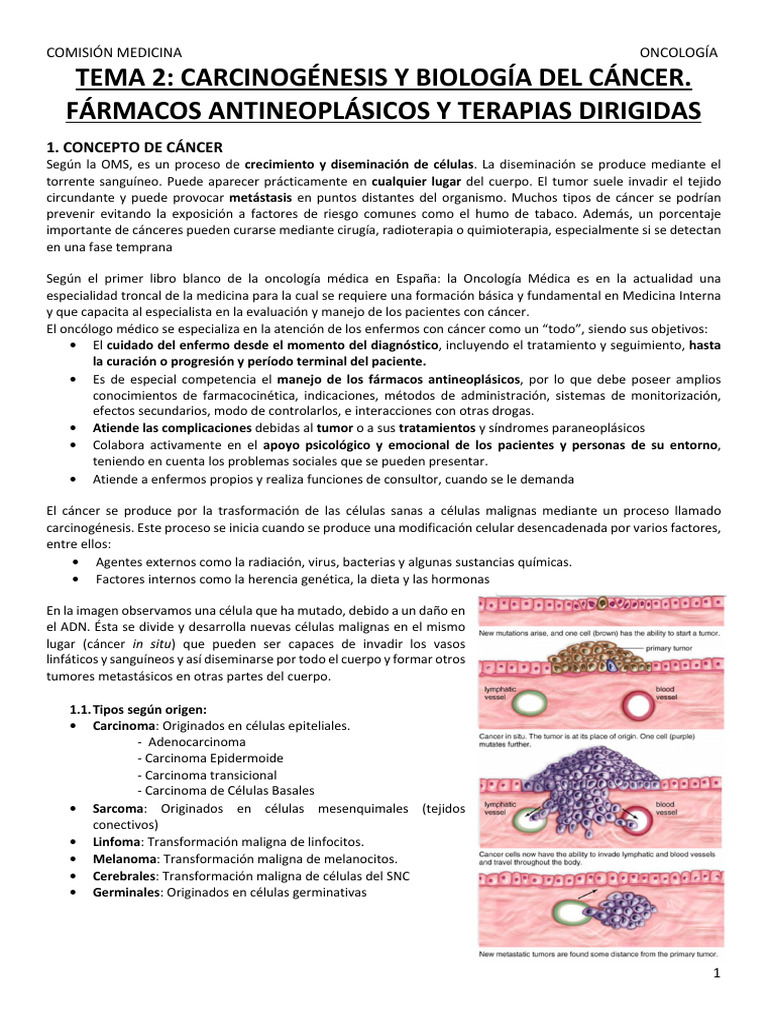 Tema 2 Onco | PDF | Cáncer | Sistema inmune