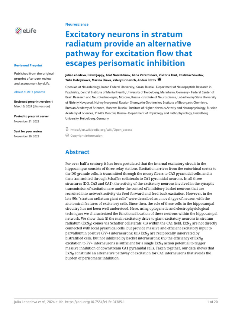 Excitatory Neurons in Stratum Radiatum Provide An Alternative Pathway For Excitation Flow That ...