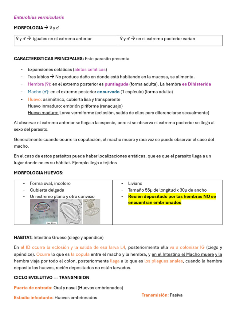 Enterobius Vermicularis Trichuris Trichuria Trichinella Spirallis | PDF ...