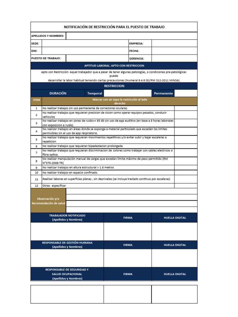 Anexo 10 Formato de Notificacion de Restricciones-flota Mar 2023 | PDF