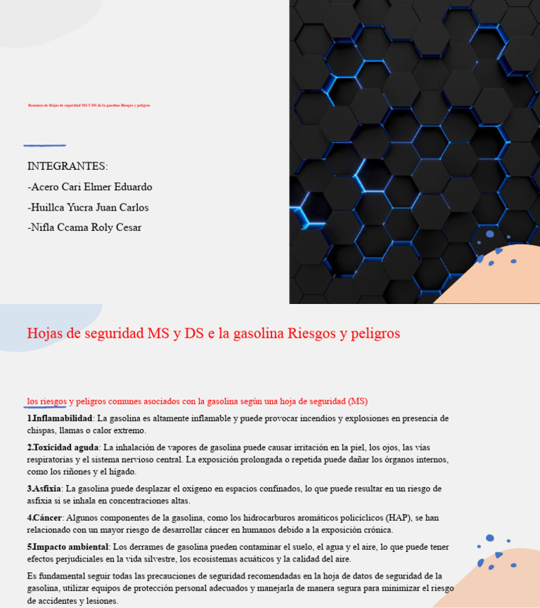 Resumen de Hojas de Seguridad MS Y DS | PDF