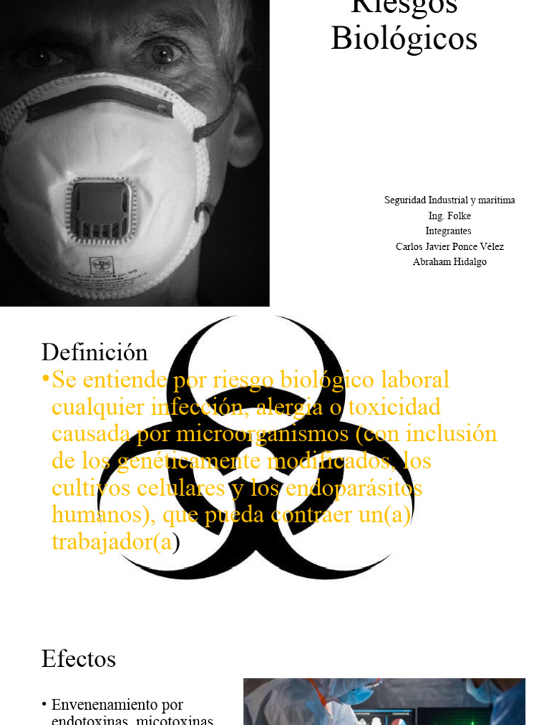 Riesgos Biológicos en Seguridad Laboral | PDF | Informática