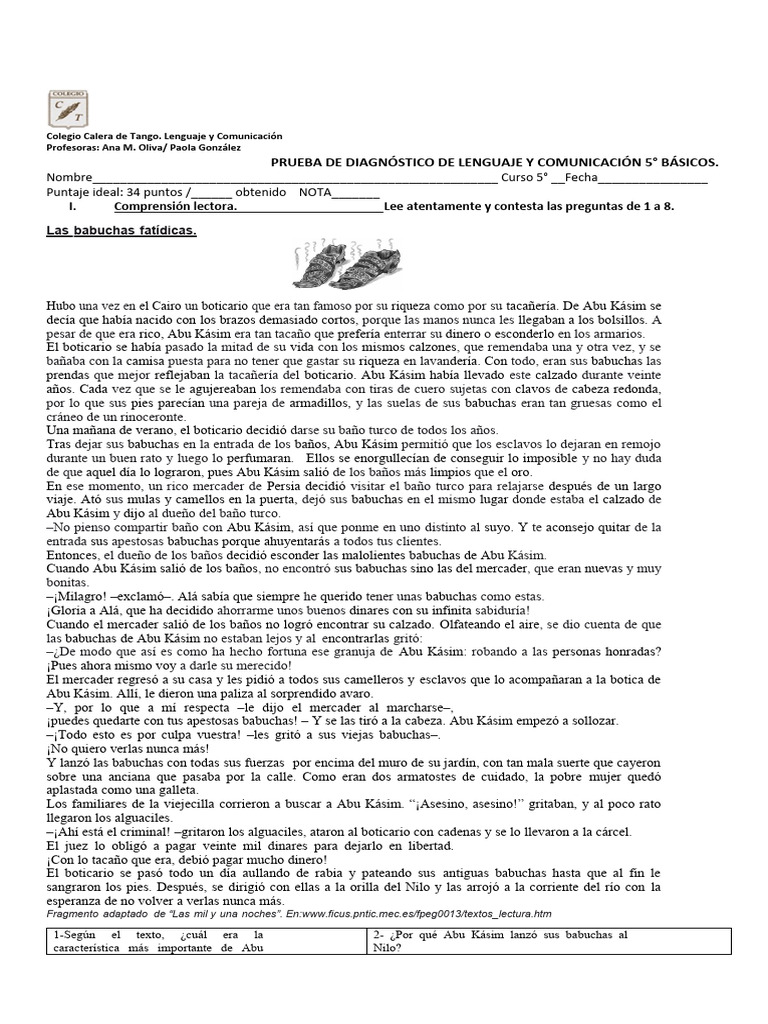 Prueba Diagnóstico 5° Básico | PDF | Derechos animales