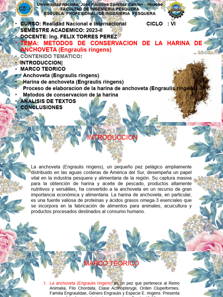 Baca Chupa Nepe Termina | PDF | Cocinando