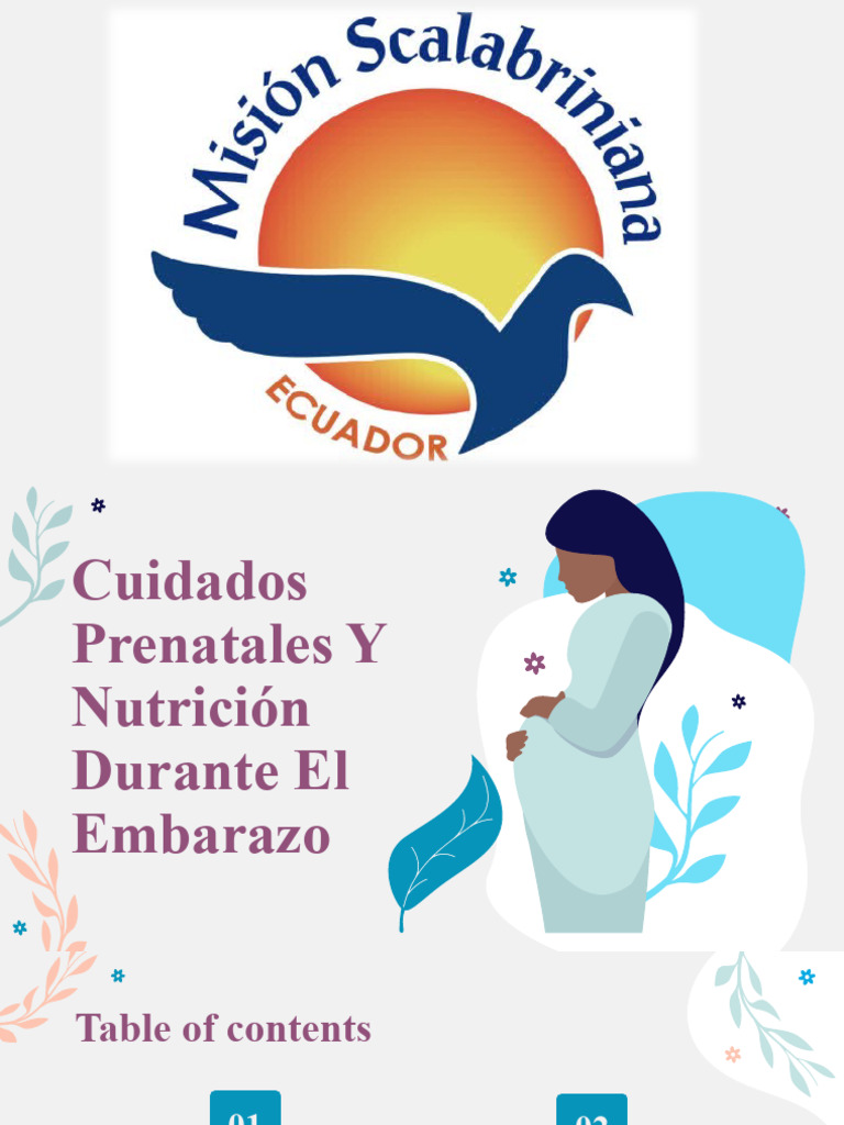 Cuidados Prenatales | PDF | El embarazo | Alimentos