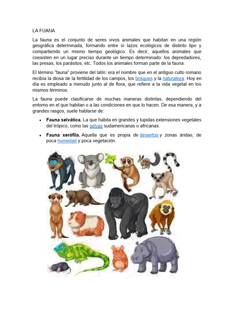 Fauna: Tipos y Definición | PDF | Artes del Lenguaje y Comunicación ...