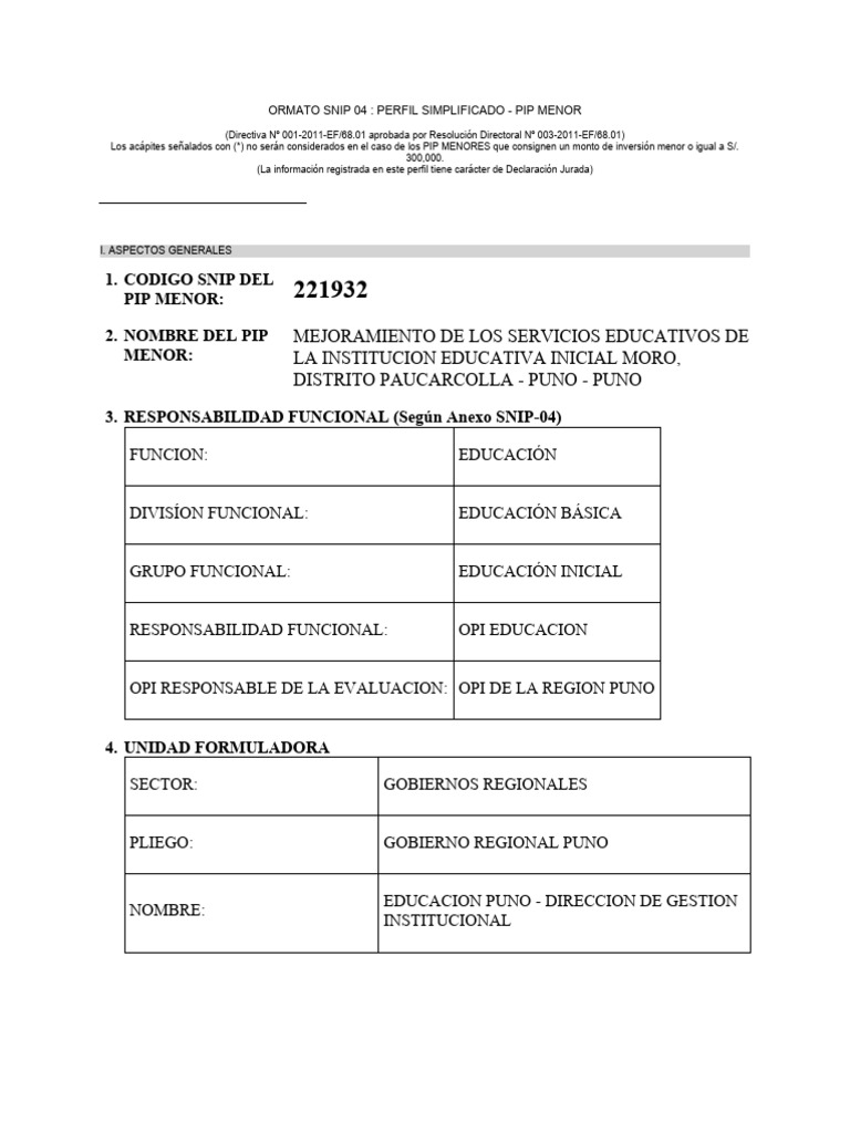 Formato Snip 04 | PDF | Enseñando | Evaluación
