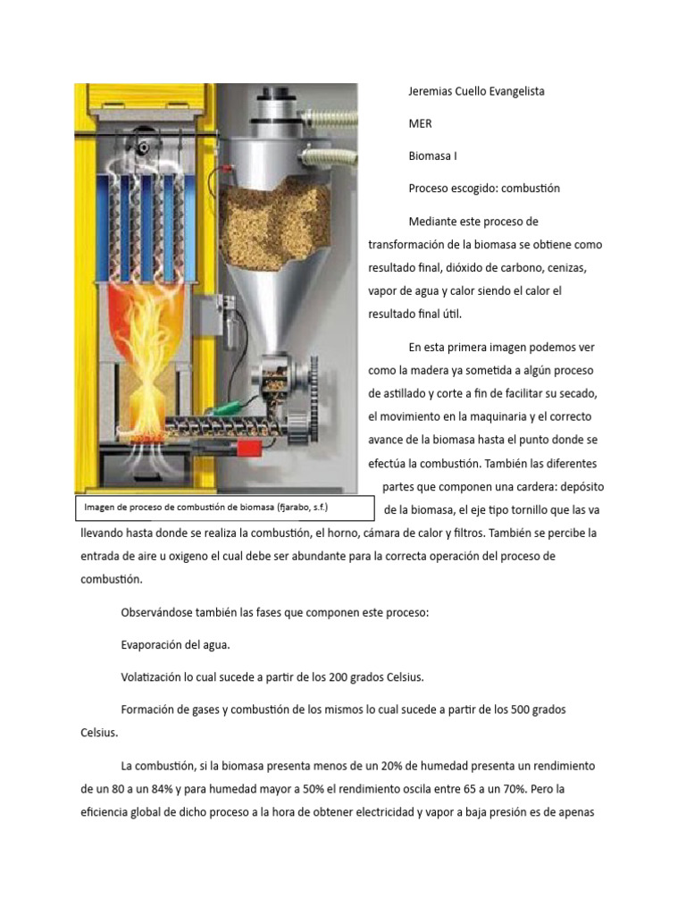 MER Biomasa | PDF | Combustión | Biomasa
