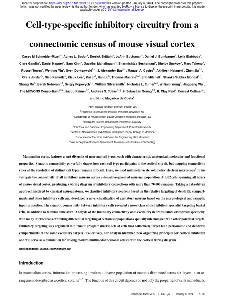 Cell-Type-Specific Inhibitory Circuitry From A Connectomic Census of Mouse Visual Cortex ...