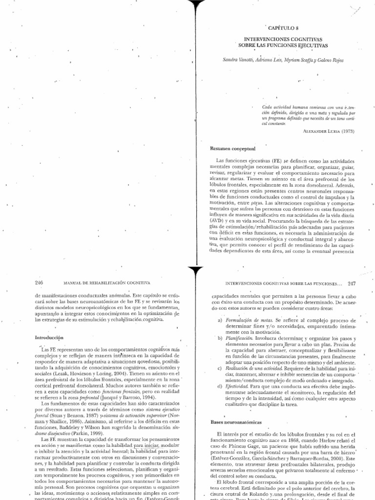 Func Ejecutivas 1 | PDF