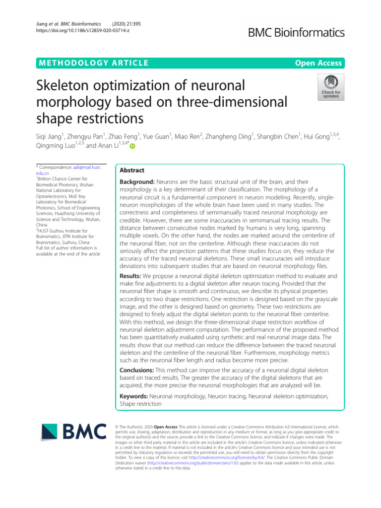 Skeleton Optimization of Neuronal Morphology Based On Three-Dimensional ...
