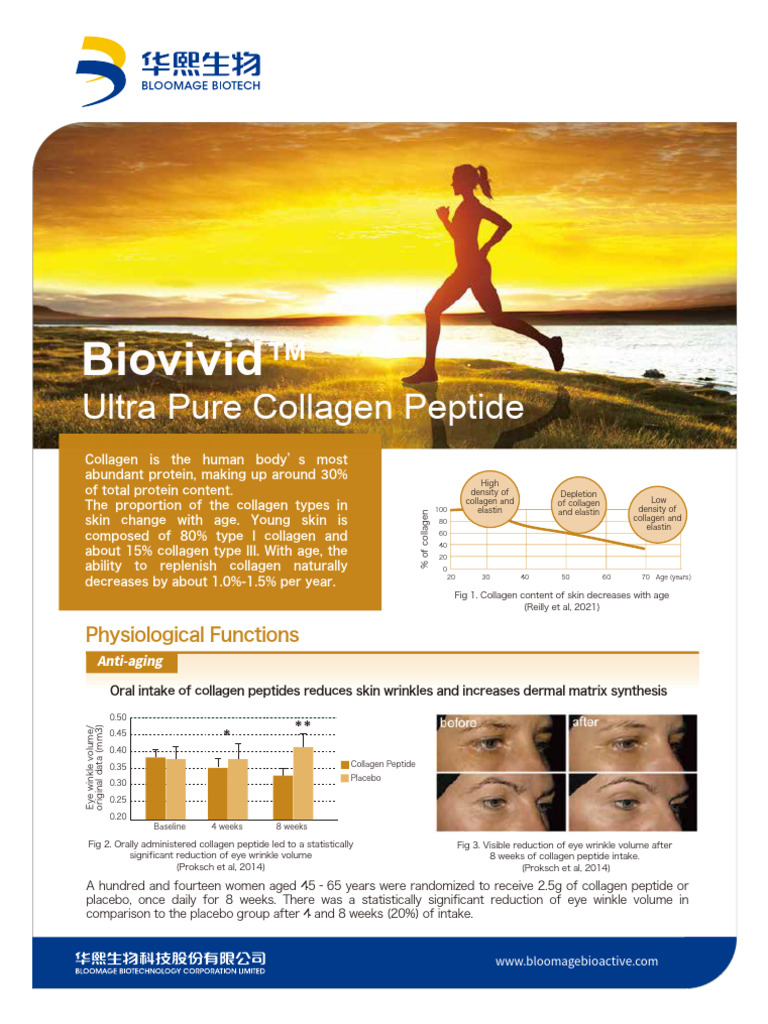 Biovivid - Collagen Peptide Brochure | PDF | Collagen | Wrinkle
