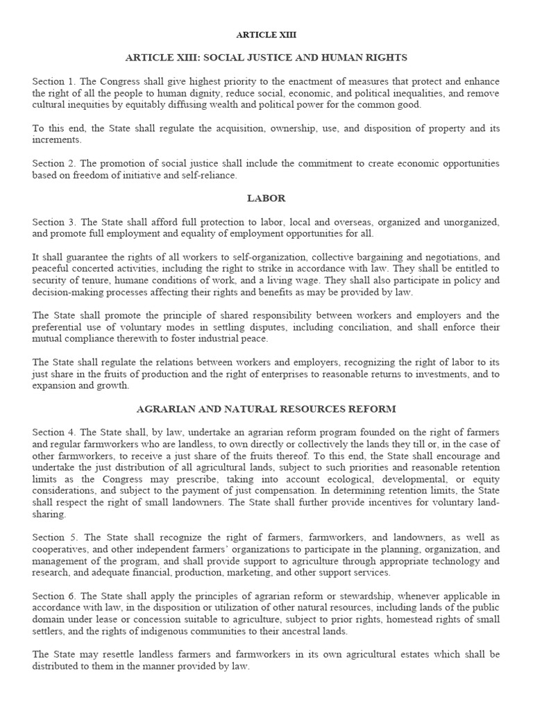 ARTICLE XIII | PDF | Human Rights | Child Abuse