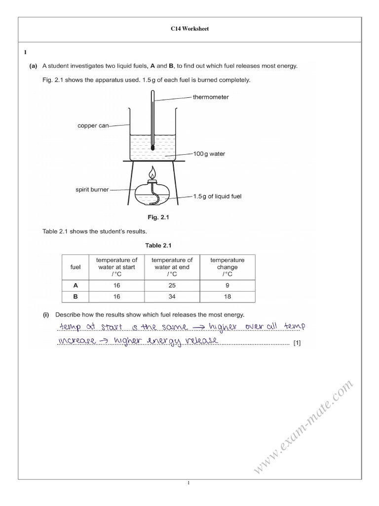 C14 Worksheet | PDF