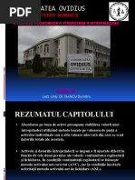 Activul Net Contabil Corectat | PDF