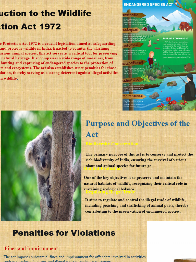 Wildlife-Protection-Act-1972 SlideShare | PDF | Conservation Biology | Poaching