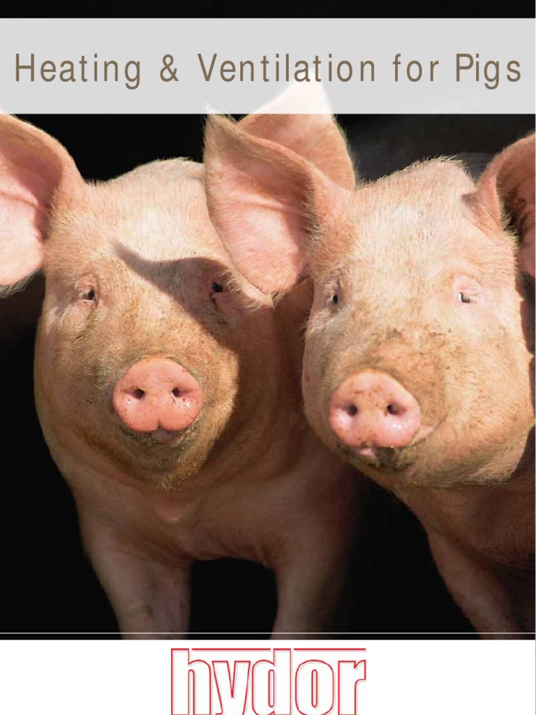 Heating & Ventilation For Pigs | PDF | Hvac | Mechanical Fan