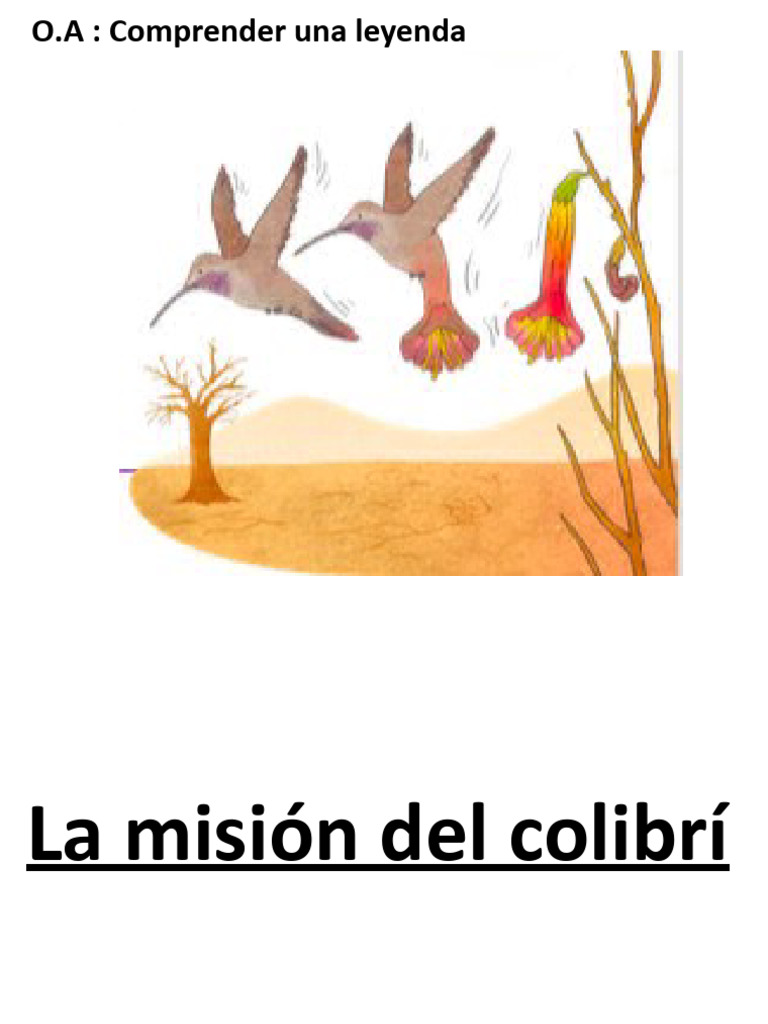 Colibri | PDF | Hogar y jardín | Historia