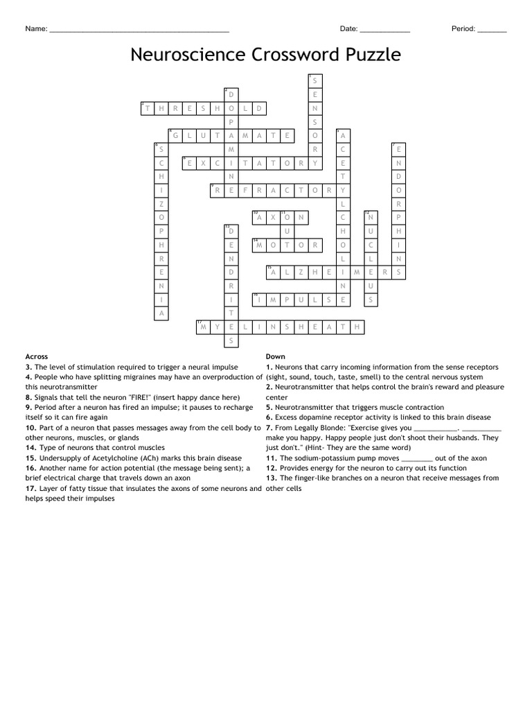 Neuroscience Crossword Puzzle Answer Key | PDF | Neuron | Action Potential