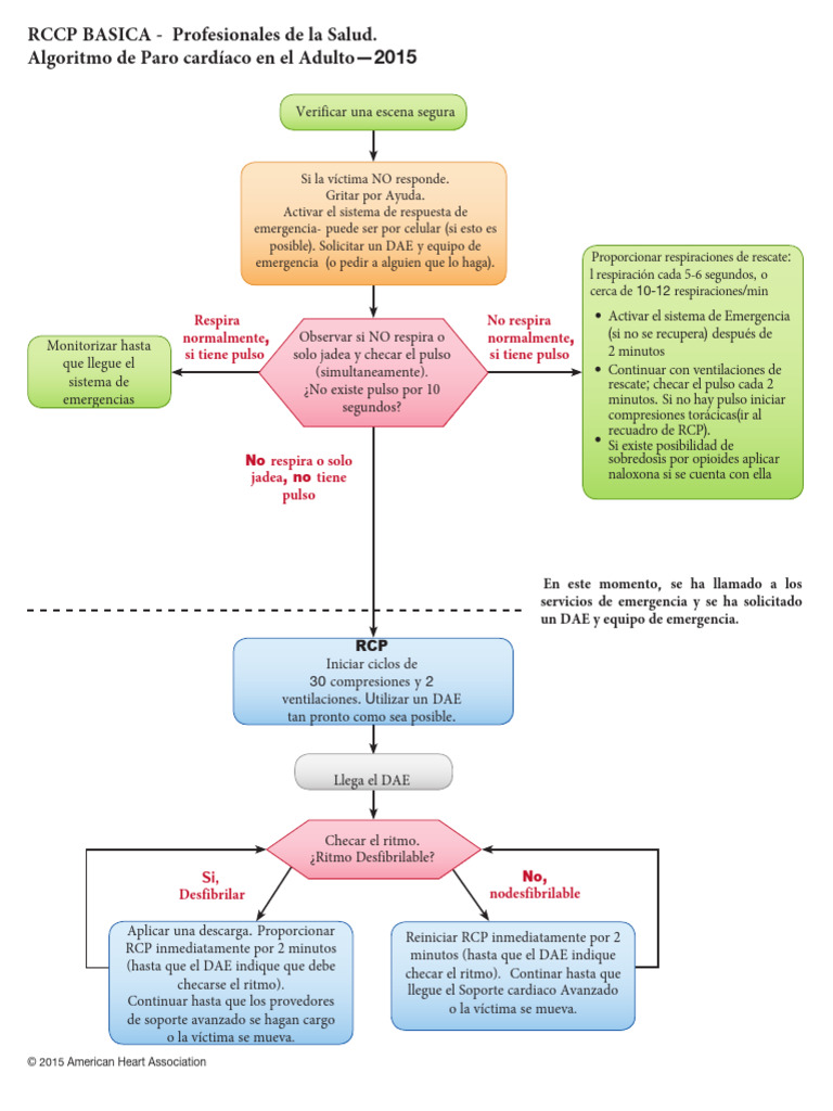 ALGORITMO RCP BASICA ADULTO PROFESIONALES DE LA SALUD 2015 | PDF ...