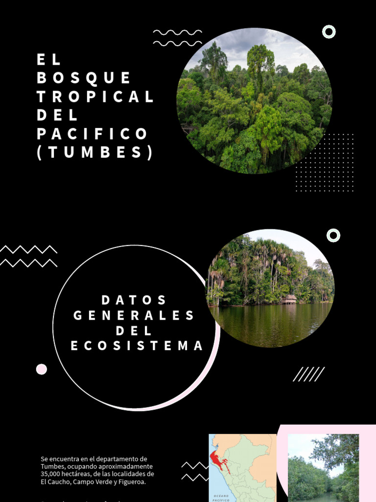 Bosque Tropical de Tumbes: Ecosistema y Características | PDF