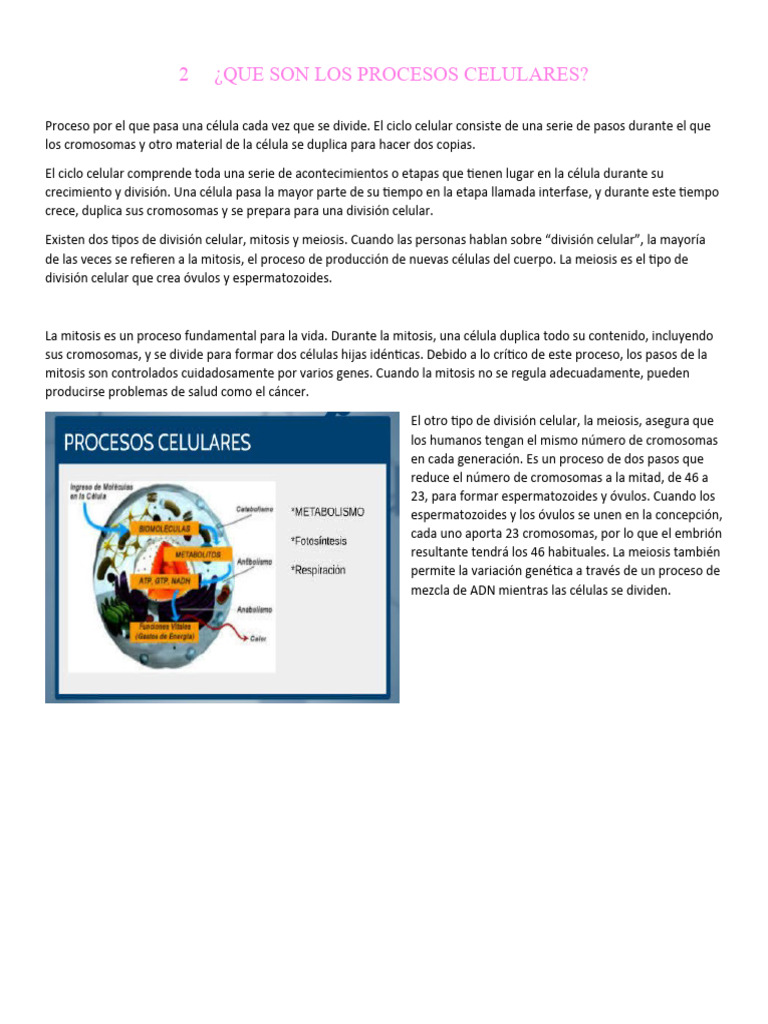 2 - Que Son Los Procesos Celulares | PDF | Ciencias sociales | Salud y ...