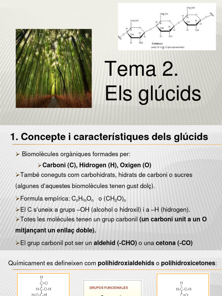 Tema 2. Els Glúcids | PDF